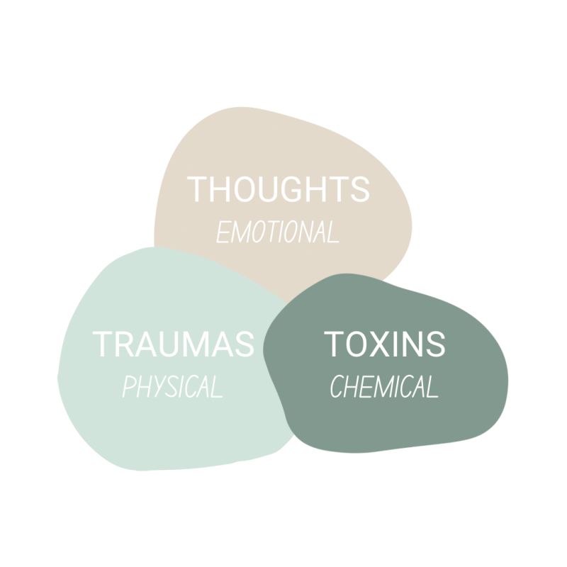 Unveiling the Triune of Heath: how Trauma, Toxins and Thoughts impact ...